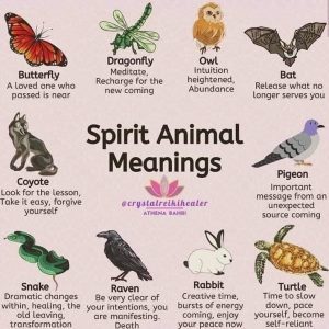 Discover Your Wiccan Spirit Animal: A Joyful Guide to Connecting with ...